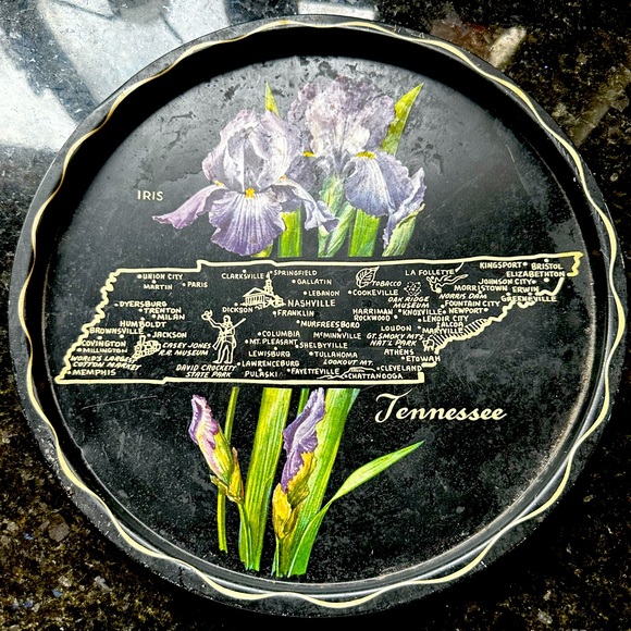 Accents | Vintage Tennessee Iris Metal Plate | Poshmark